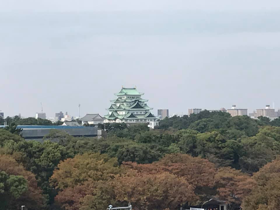 フェアトレード・コーヒー・ガーデン in名古屋市役所 - フェアトレードタウンなごや【NPO法人フェアトレード名古屋ネットワーク】